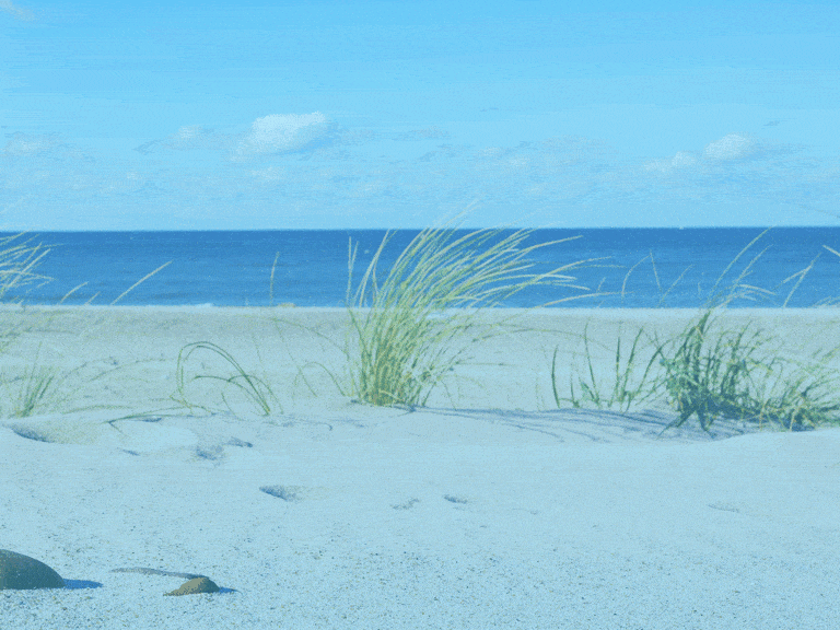 inspiration_blueprint_scavenger_hunt_animation_final - Outdoor ...