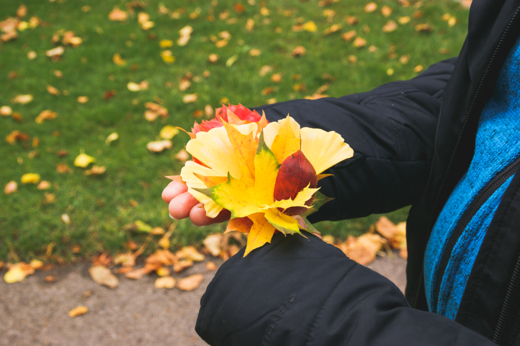 Making faces - use natural materials to make silly faces!