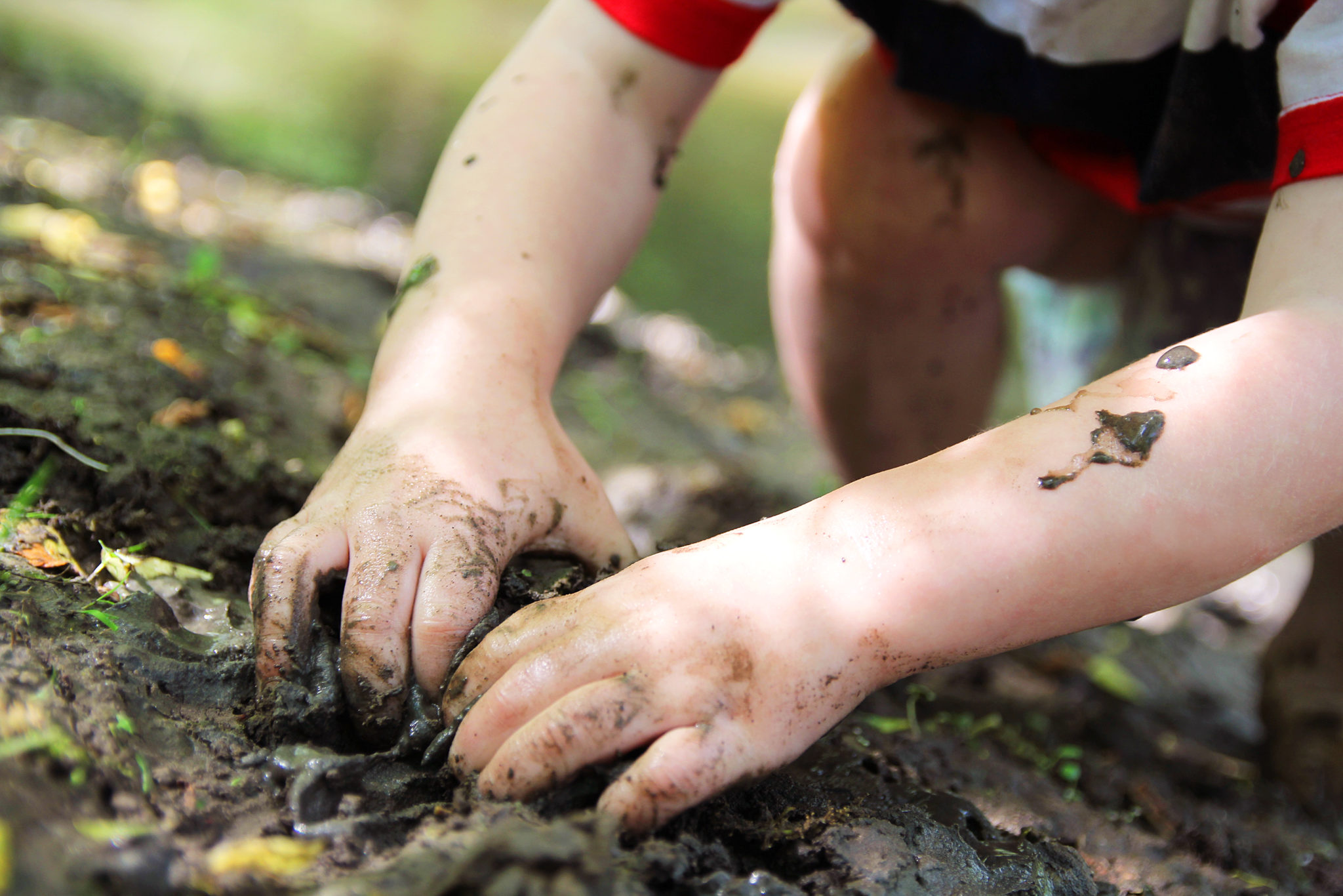 Little Child's Hands Digging in the Mud - Outdoor Classroom Day